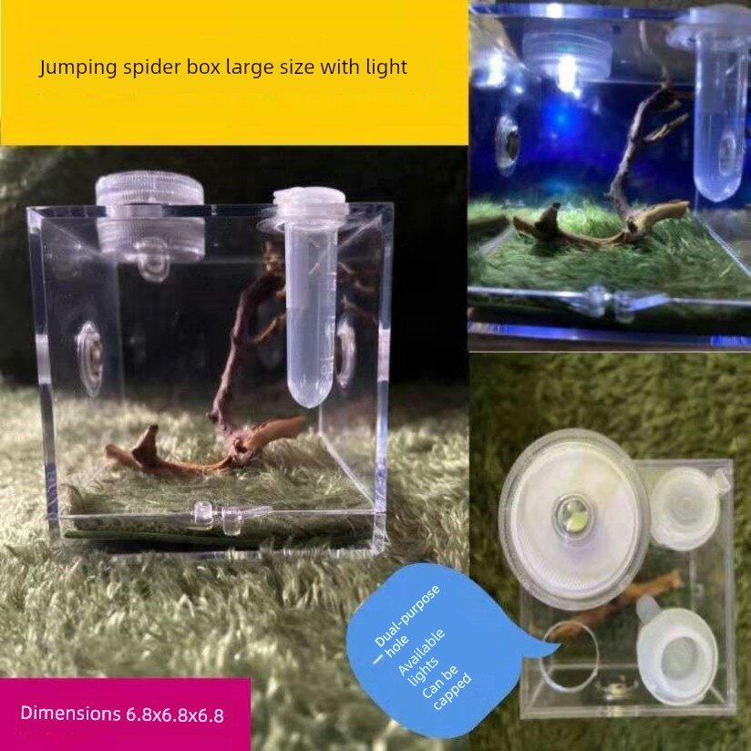 Клетка для разведения прыгающих пауков, премиум-террариум для пауков, для цикад, стрекоз, высокопрозрачный контейнер