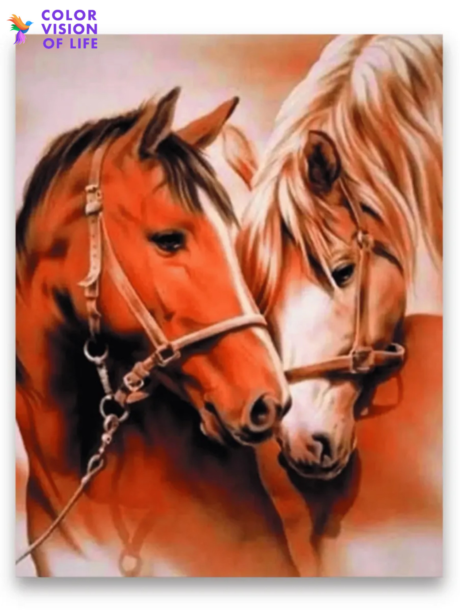 Алмазная мозаика COLOR VISION OF LIFE "Пара лошадей", с подрамником, 40x50 см