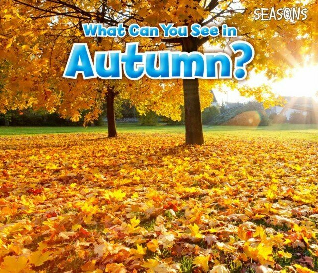 Smith Sian "What Can You See in Autumn"