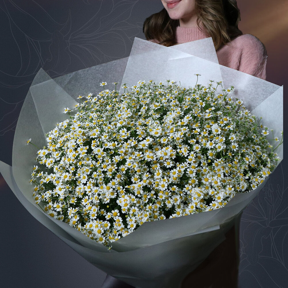 Большой букет из 51 кустовой ромашки в матовой пленке с атласной лентой от 2name Flowers