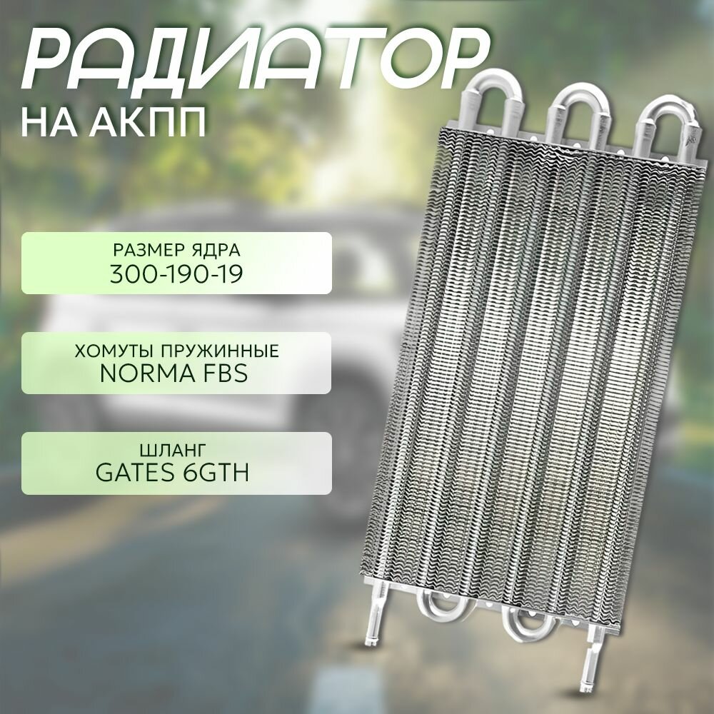 Радиатор АКПП 300-190-19 6 рядов серый (шланг Gates + хомуты Norma)