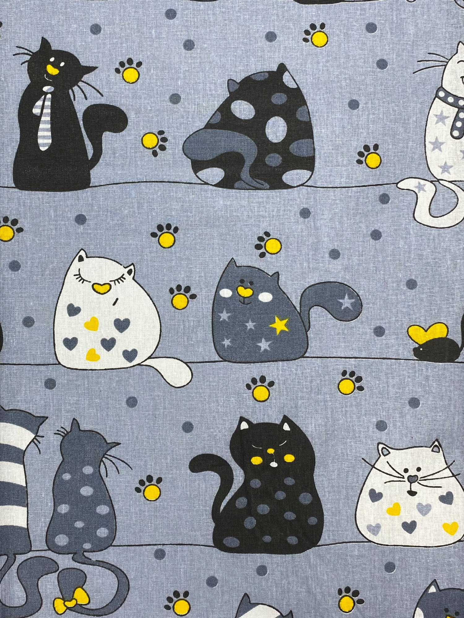 Бязь Коты#Ночь( Россия )