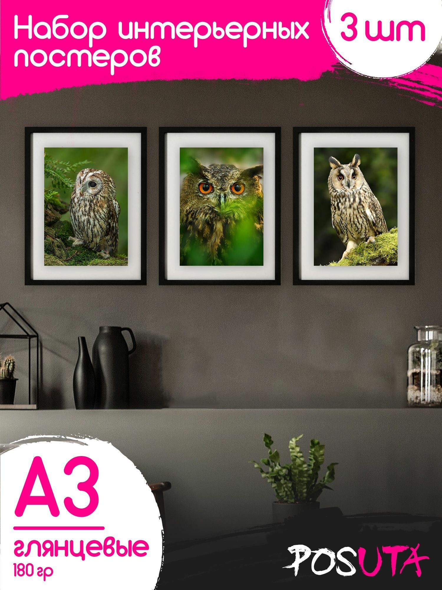 Постеры настенные Сова филин хищник картины в спальню А3