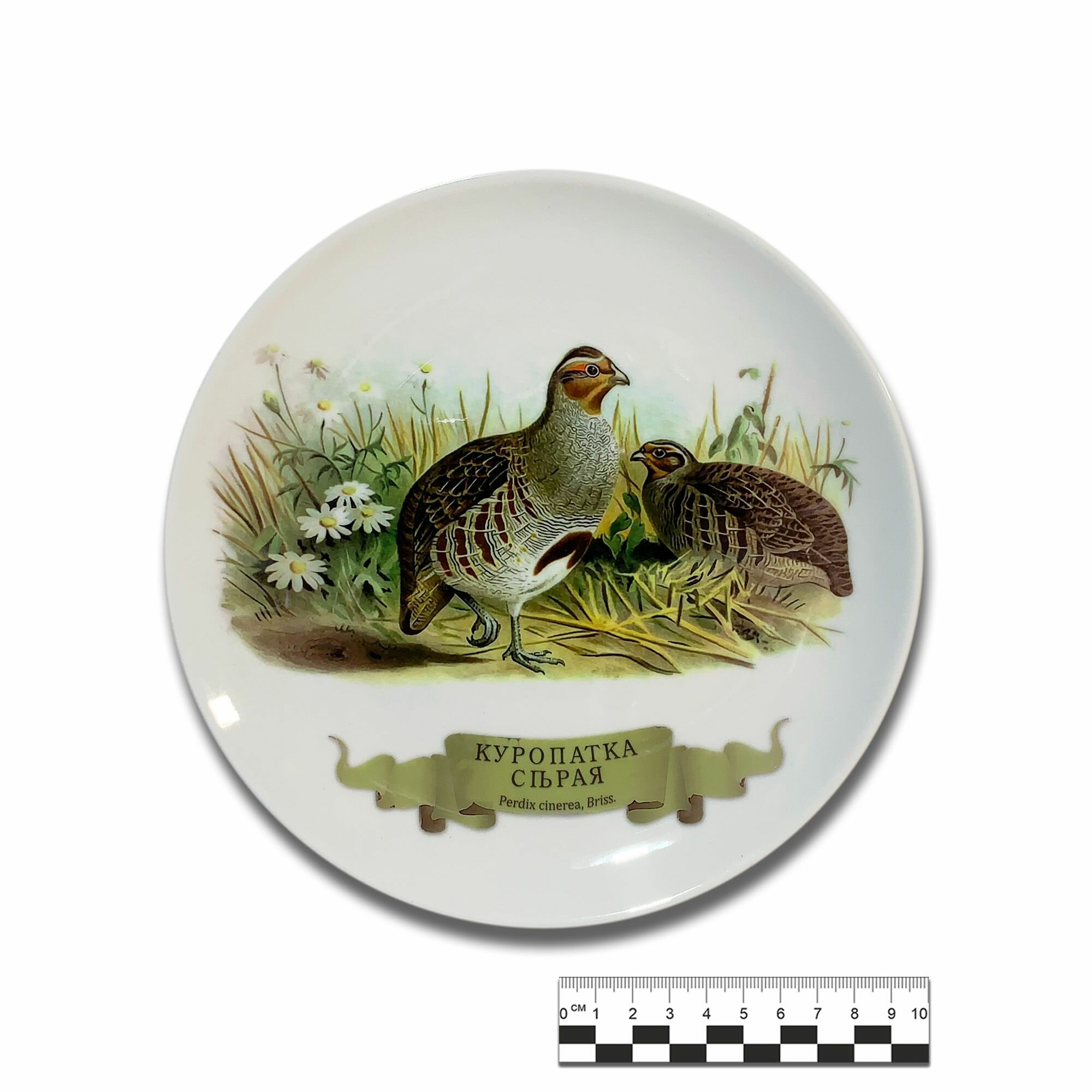 Декоративная тарелка с изображением куропатки серой исп.1т