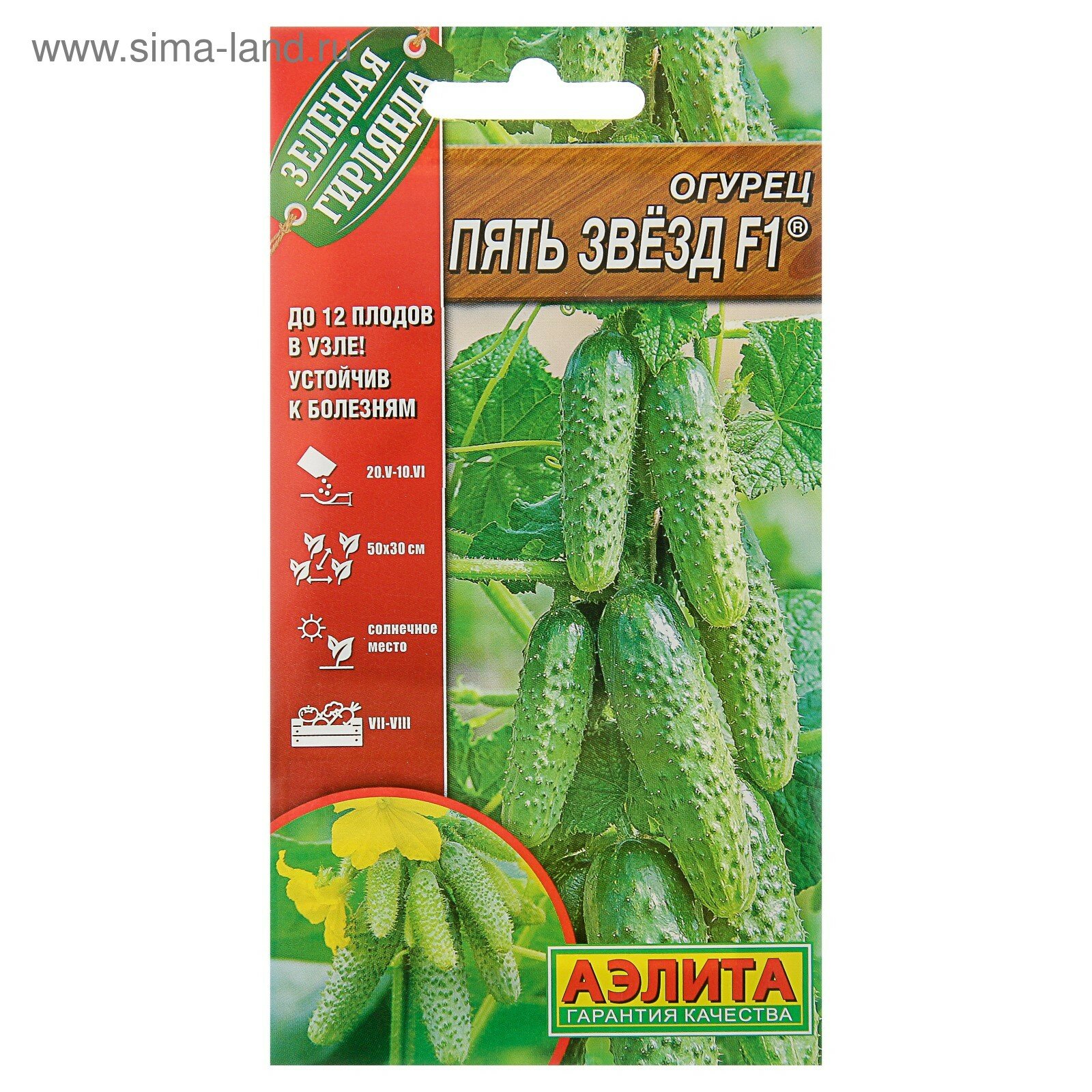 Семена Огурец "Пять звезд" F1, ультраранний, партенокарпический, 10 шт.