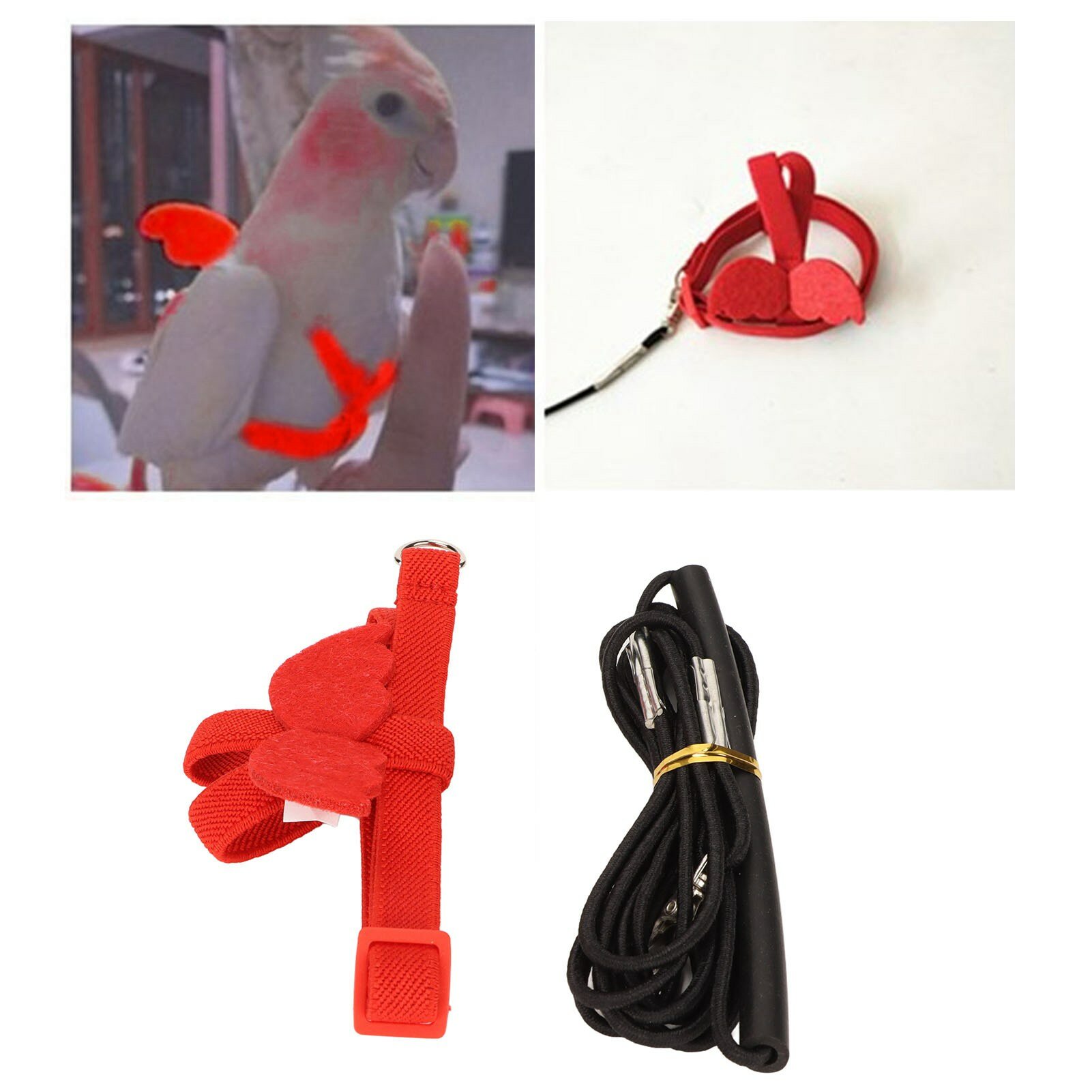 Поводок для домашних птиц, легкий поводок для летающих птиц, тяговый трос для попугая Alexandrine Scarlet Keck Mini Macaw M Red