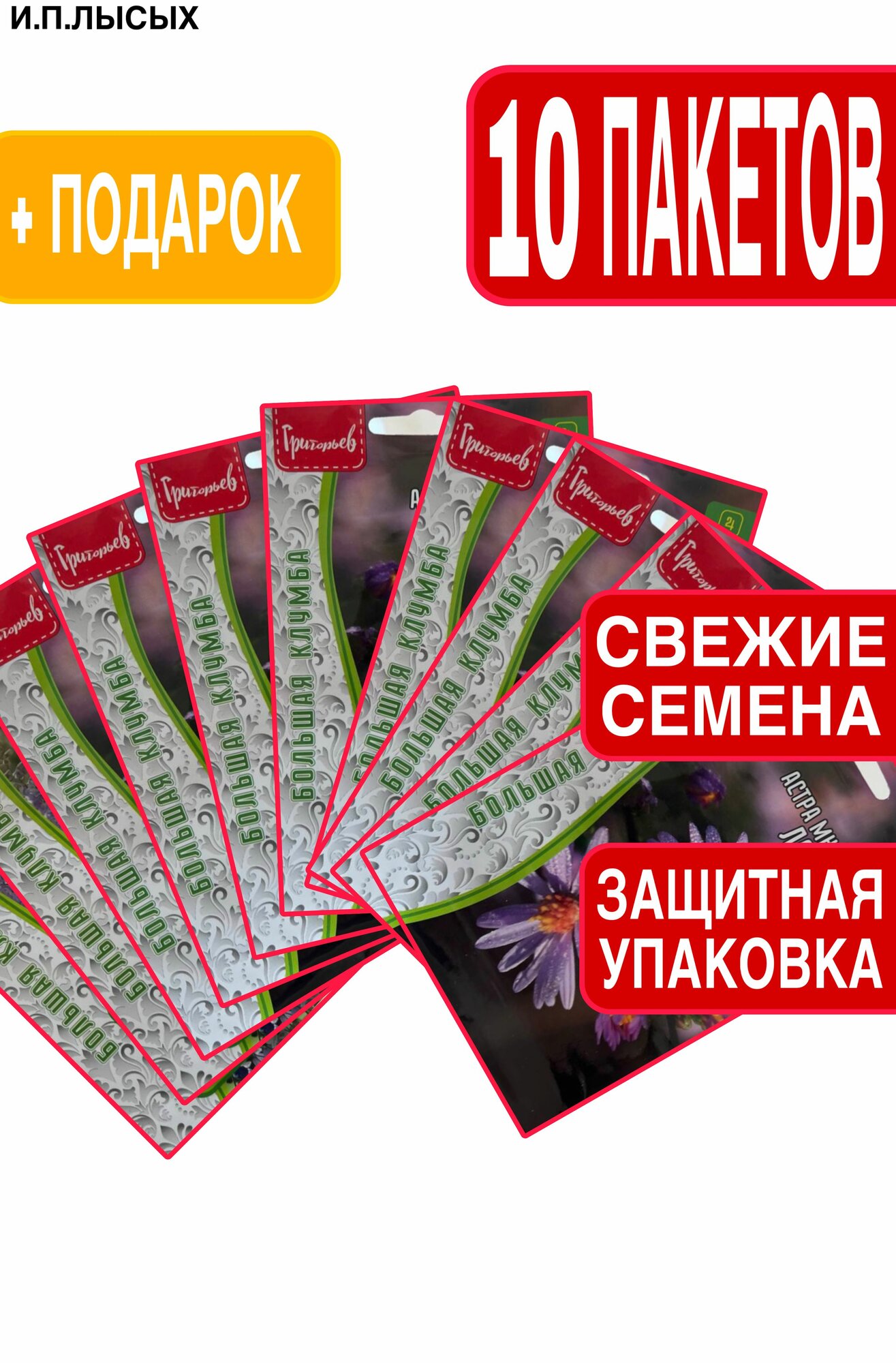 Семена Астра многолетняя "Лазоревая"