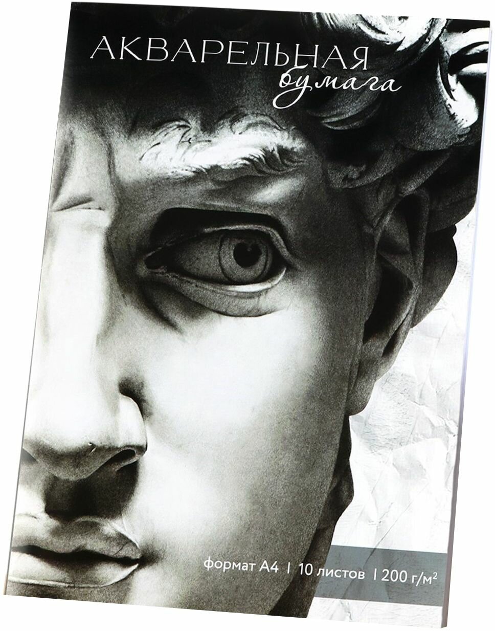 Бумага для акварели "Давид" белая, формат А4, набор из 10 листов, плотность 200 г/м2, в папке