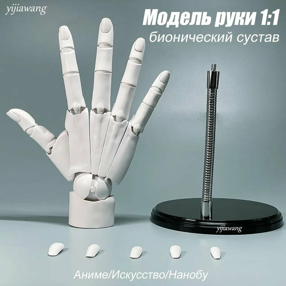 Подвижная модель правой руки манекена для художников и аниматоров YZ