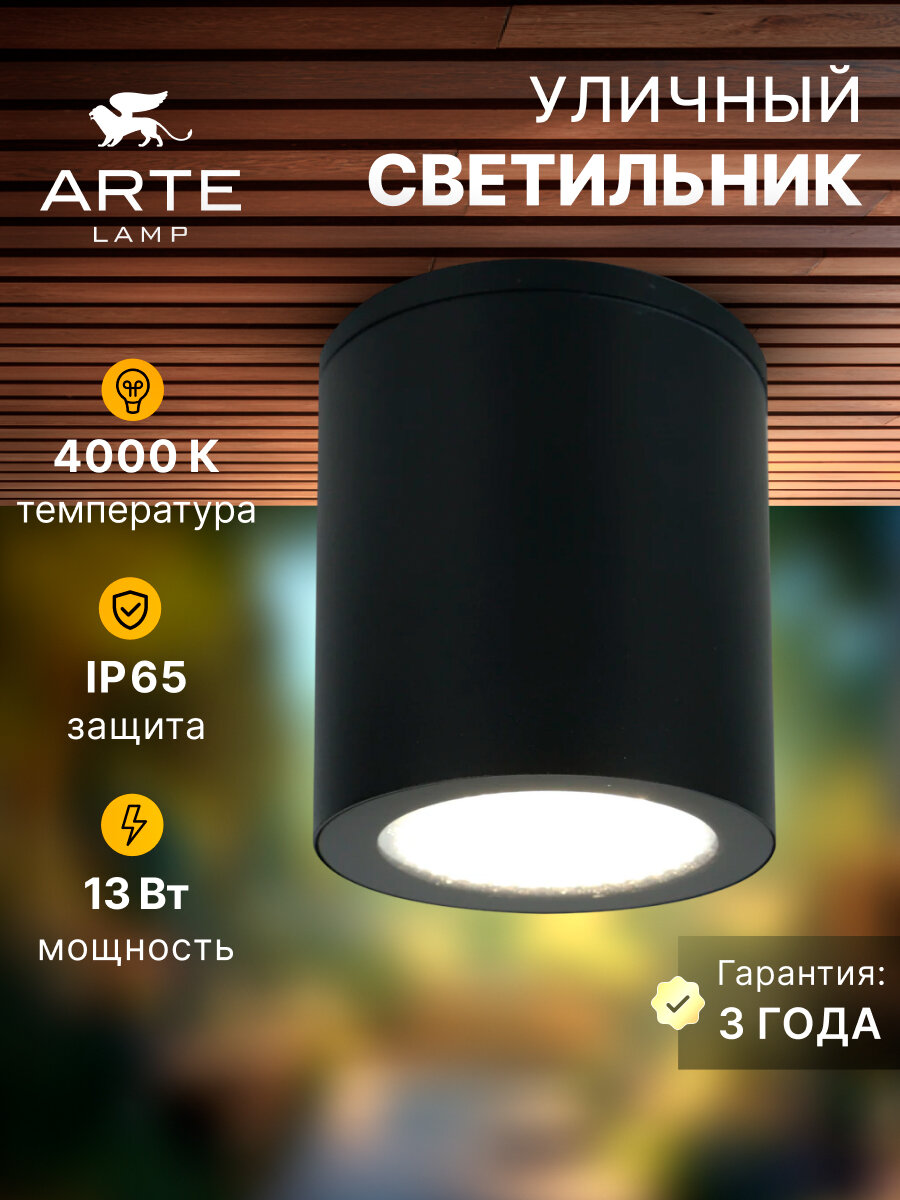Уличный потолочный светильник Arte Lamp TORCULAR A1813PF-1BK