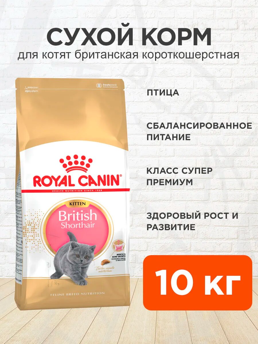 Корм сухой Royal Canin British Shorthair Kitten 34 для британских короткошерстных котят, 10 кг