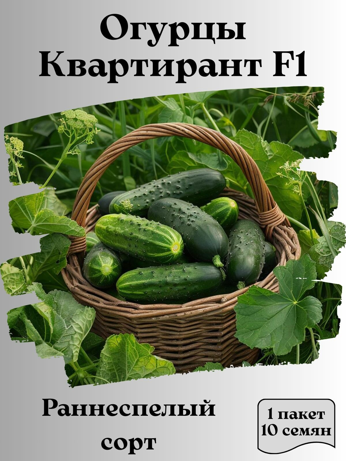 Огурцы Квартирант F1, семена, 10 шт, 15 гр.