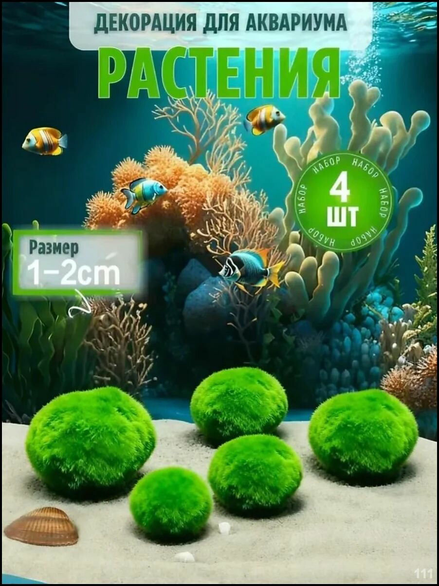 Кладофора шаровидная мох маримо (Aegagropila linnaei) 1-2см/4шт