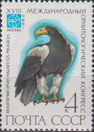 Почтовые марки СССР 1982г. "Белоплечий орлан" Птицы MNH