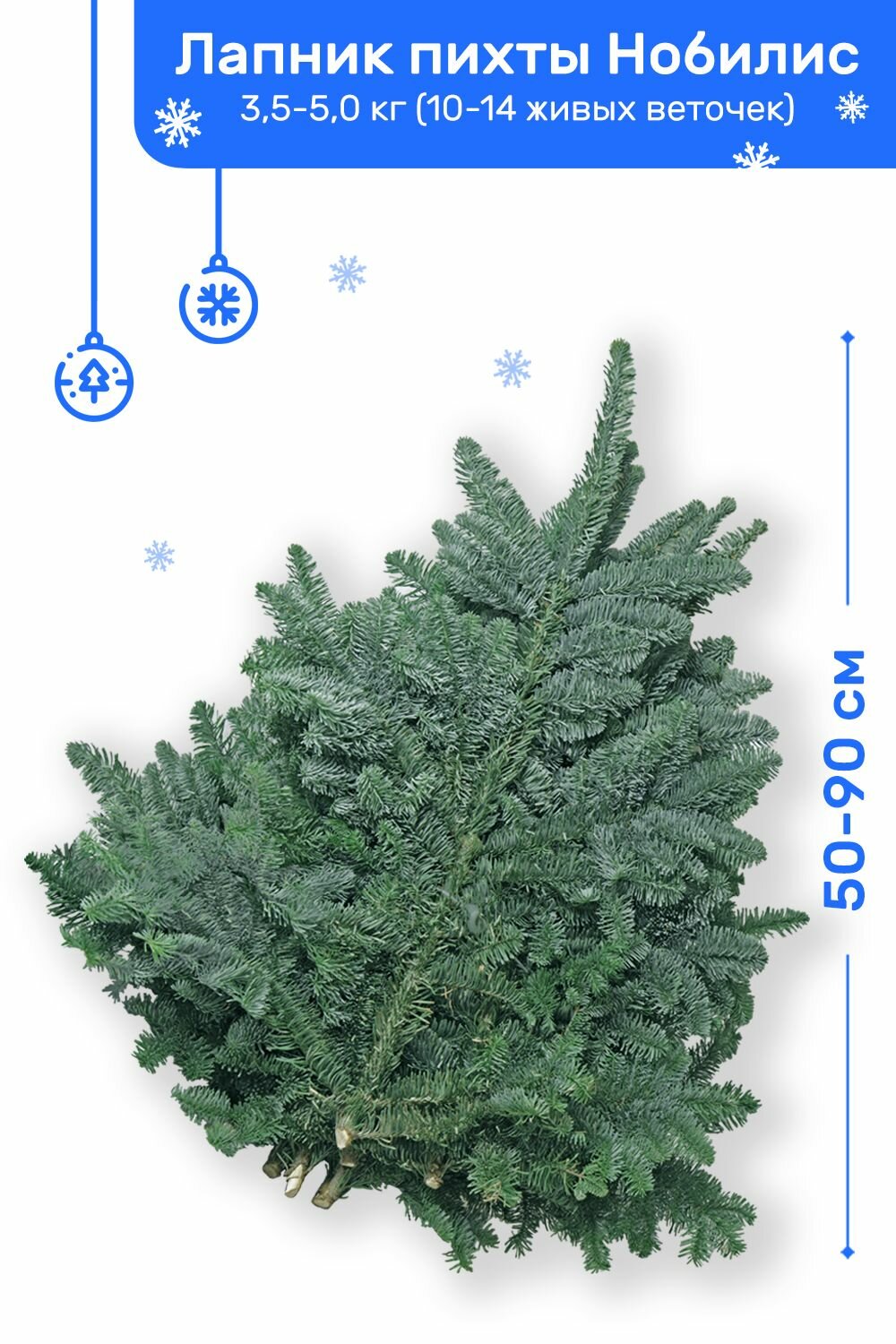 Лапник пихты Нобилис банч 3,5-5,0 кг (10-14 живых веточек)