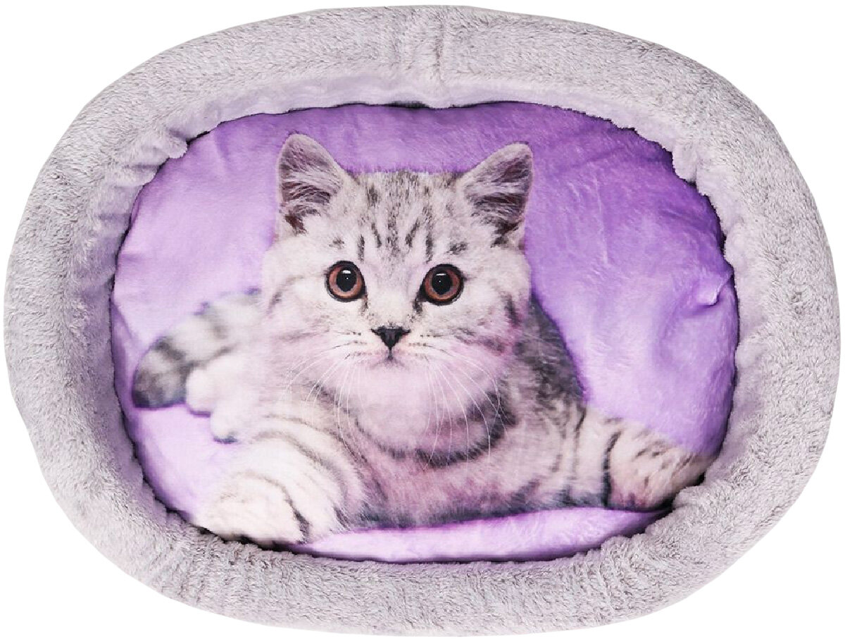 Лежак для кошек PerseiLine Rich Breed Дизайн № 5 принт 13 овальный 55 х 47 х 16 см (1 шт)