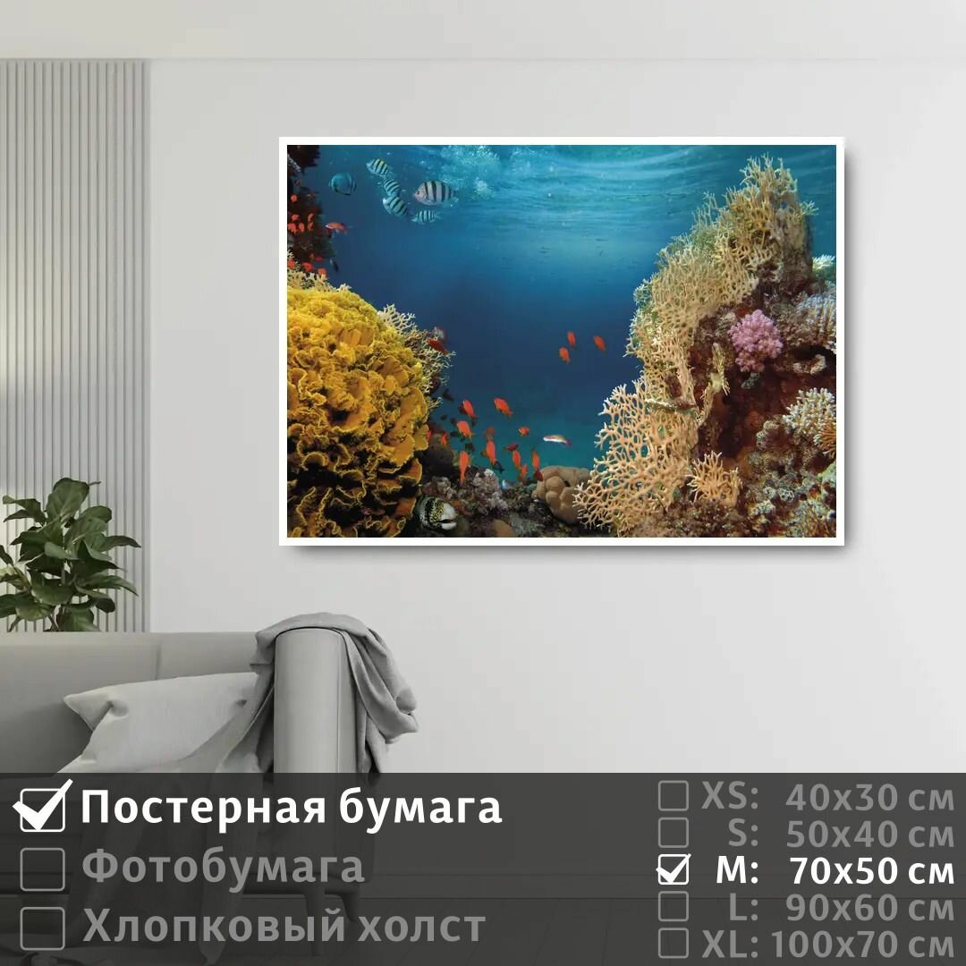 Постер на стену Морские Рыбки В Коралловых Рифах 70х50 см ПолиЦентр
