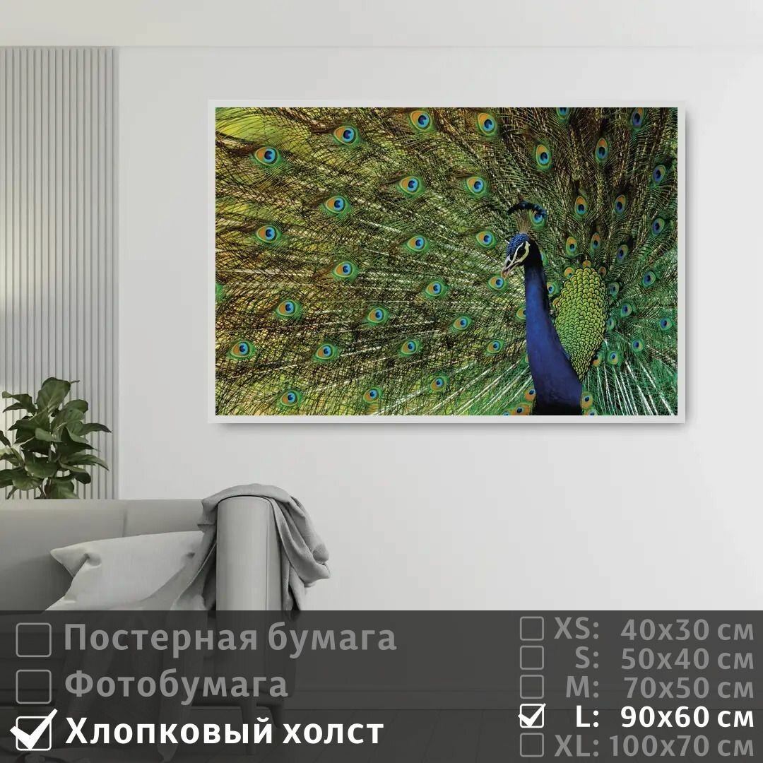 Постер на холсте Павлин С Распущенным Хвостом 90х60 см ПолиЦентр