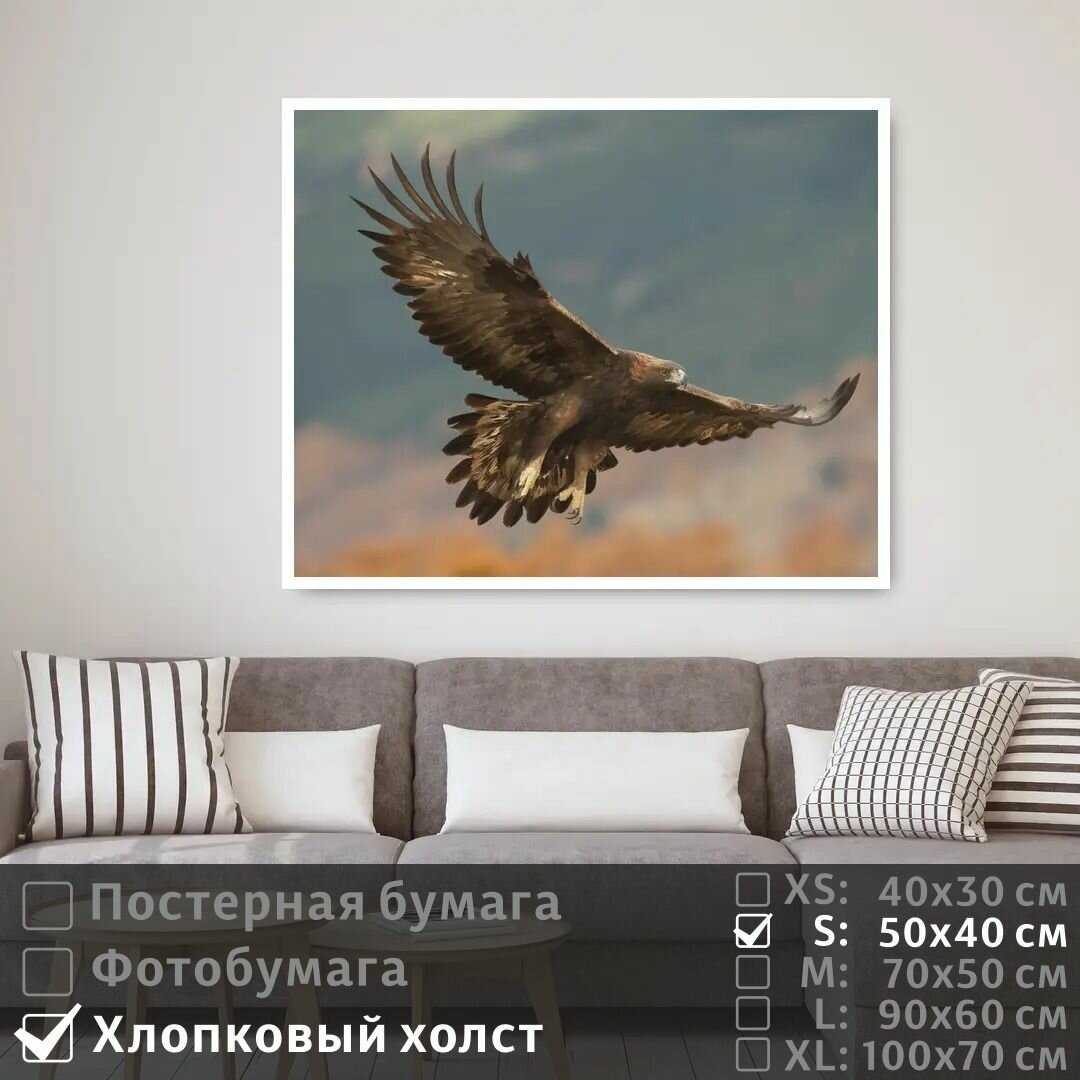 Постер на холсте Парящий Орел В Небе 50х40 см ПолиЦентр