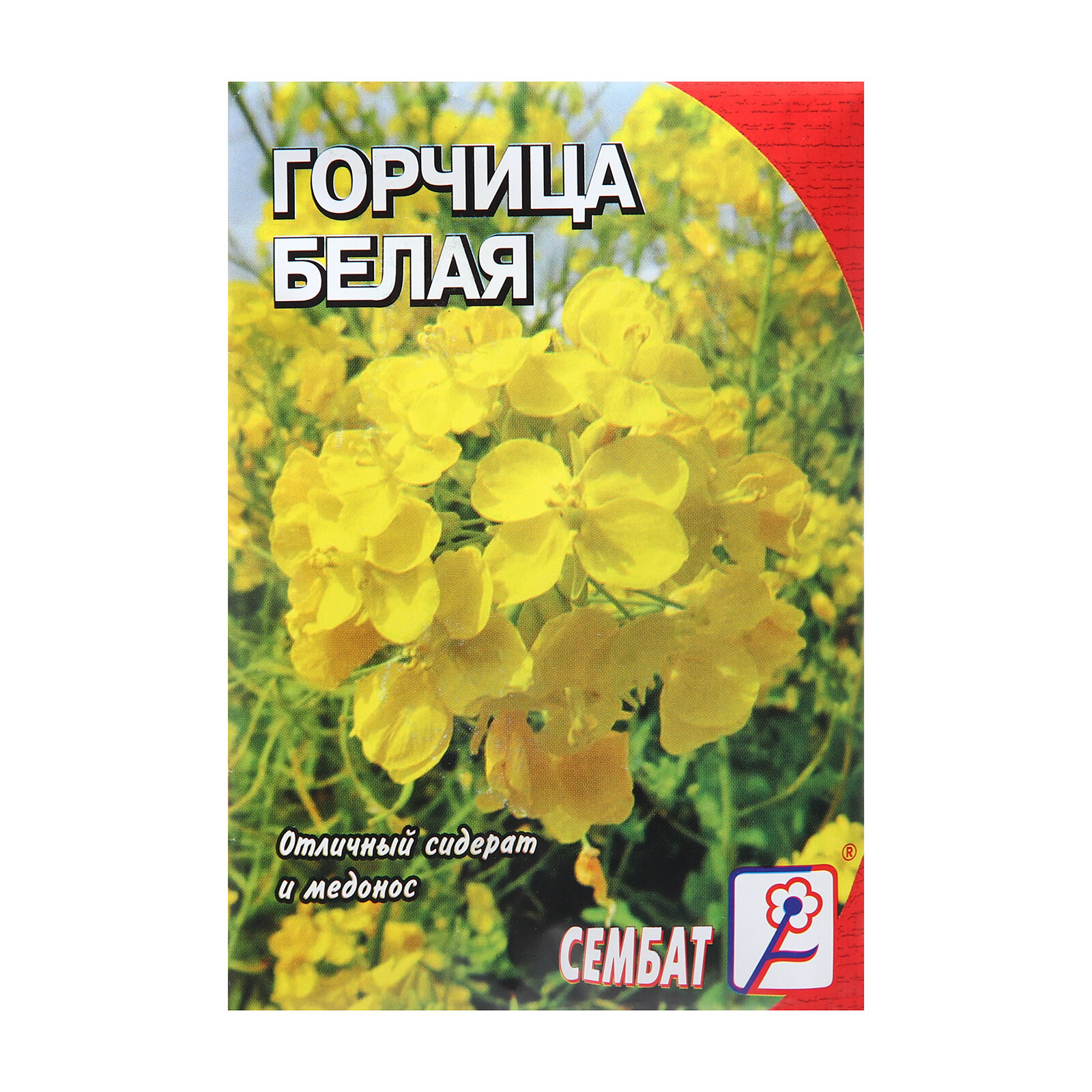 Семена Горчица Белая 20 г, «Сембат»