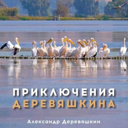 Приключения Деревяшкина [Аудиокнига]