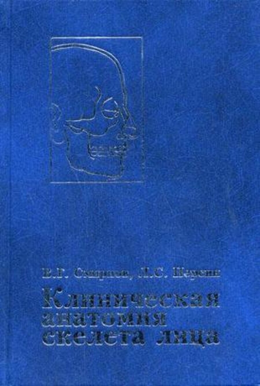Клиническая анатомия скелета лица