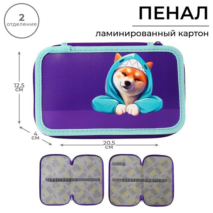 Пенал школьный, 2 секции, 12.5 × 20.5 × 4 см, «Сиба», для детей