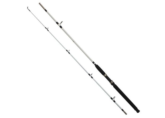 Спиннинг EastShark штекерный, тест 100-250 грамм, 240 см, белый