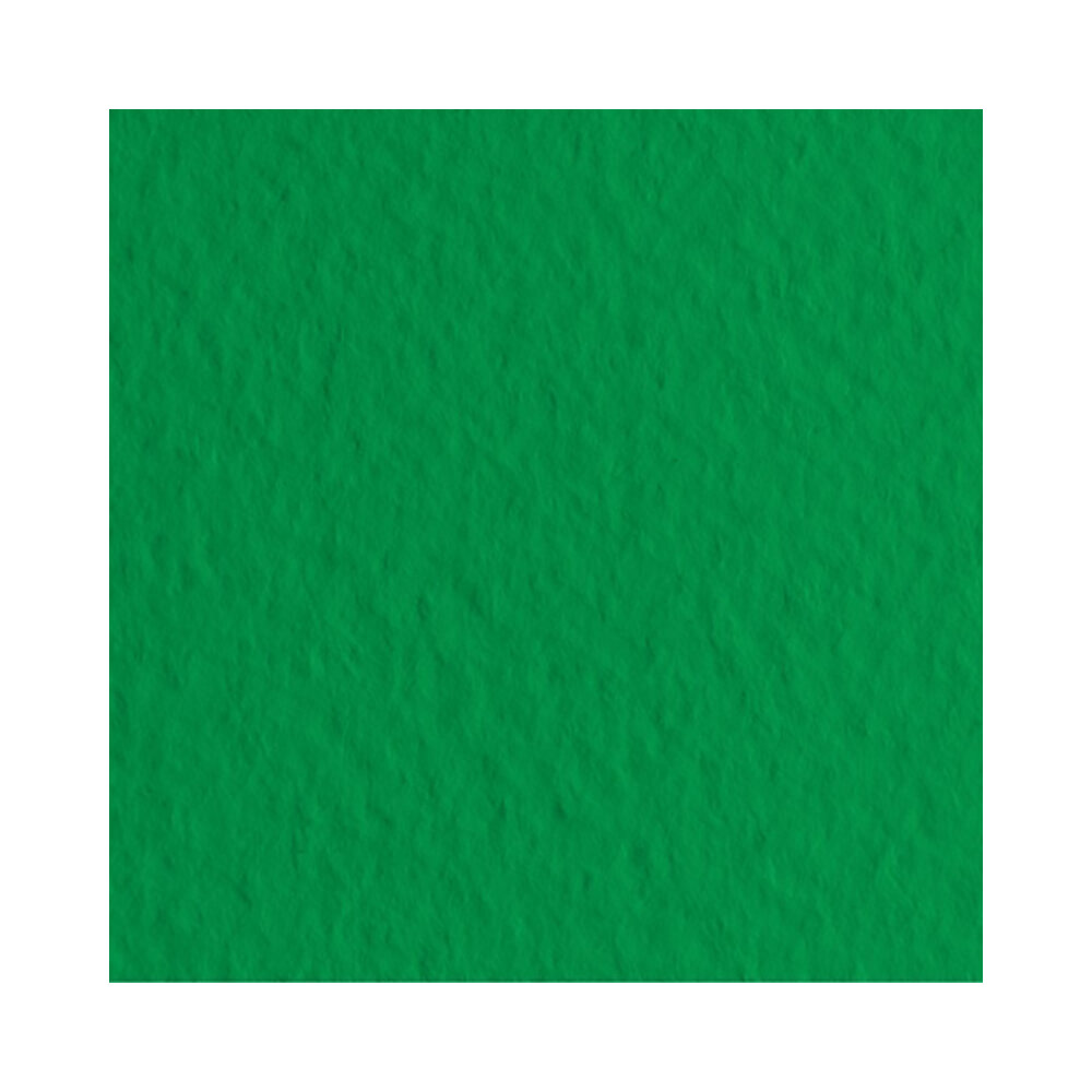 "Fabriano" Бумага для пастели "Tiziano" 160 г/м2 50 х 65 см лист 52551012 Prato/Травяной