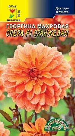 Семена Георгина Опера F1 Оранжевая махровая Цветущий сад