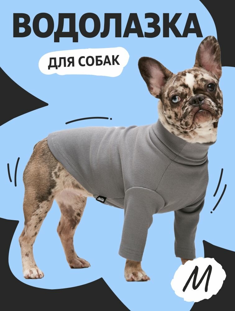 Водолазка для собак мелких и средних пород, цвет - серый, размер - M (BlikDogstore)