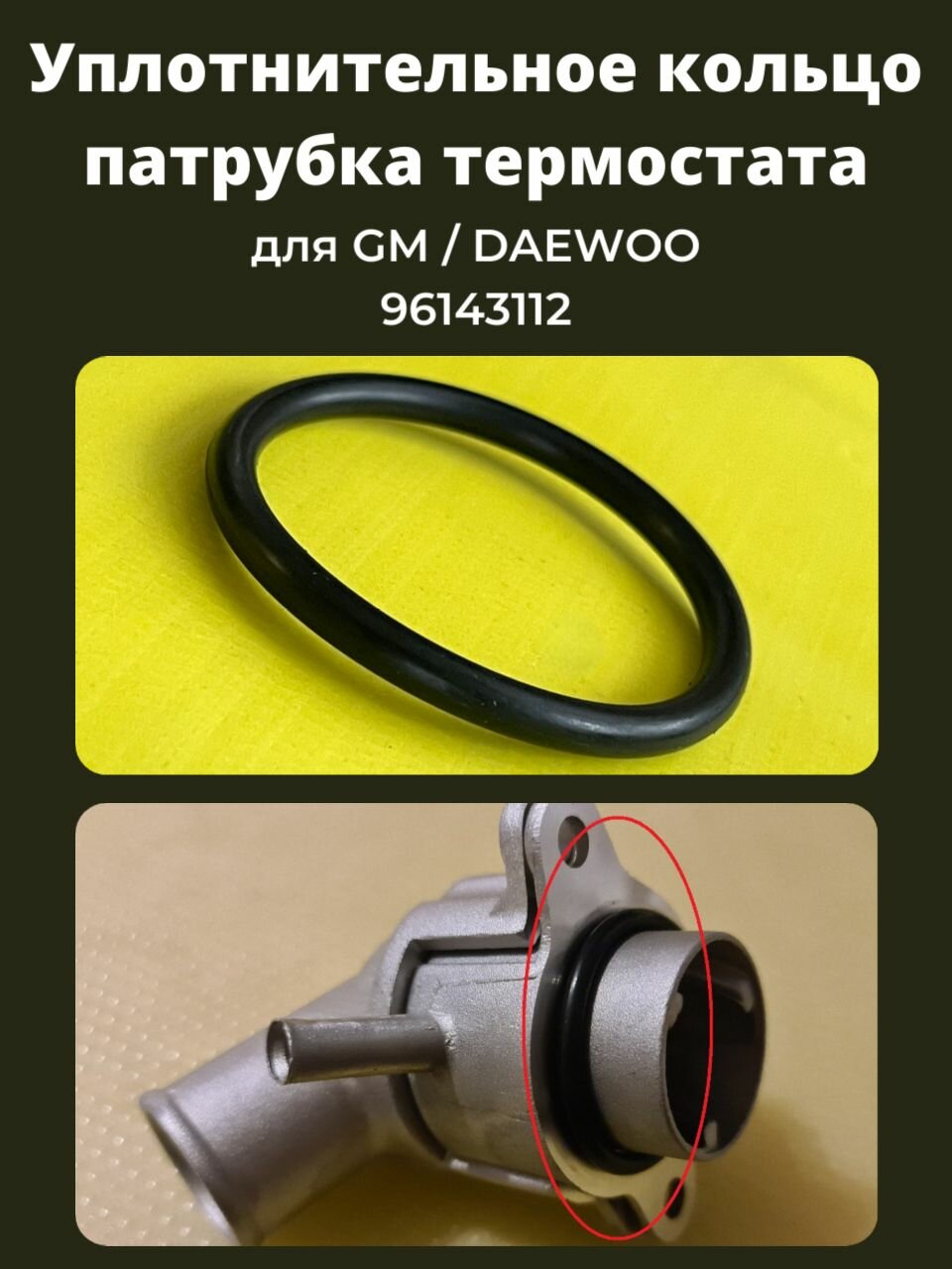 Уплотнительное кольцо термостата GM / DAEWOO 96143112