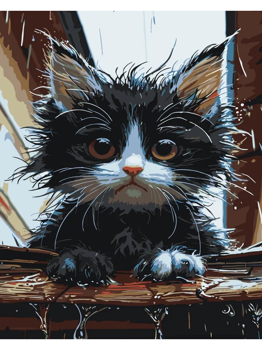 Картина по номерам Мокрый Котик Животное Кот