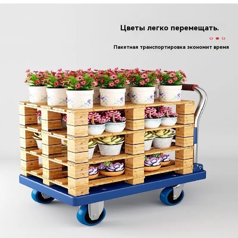 Сумка-тележка — фото 1