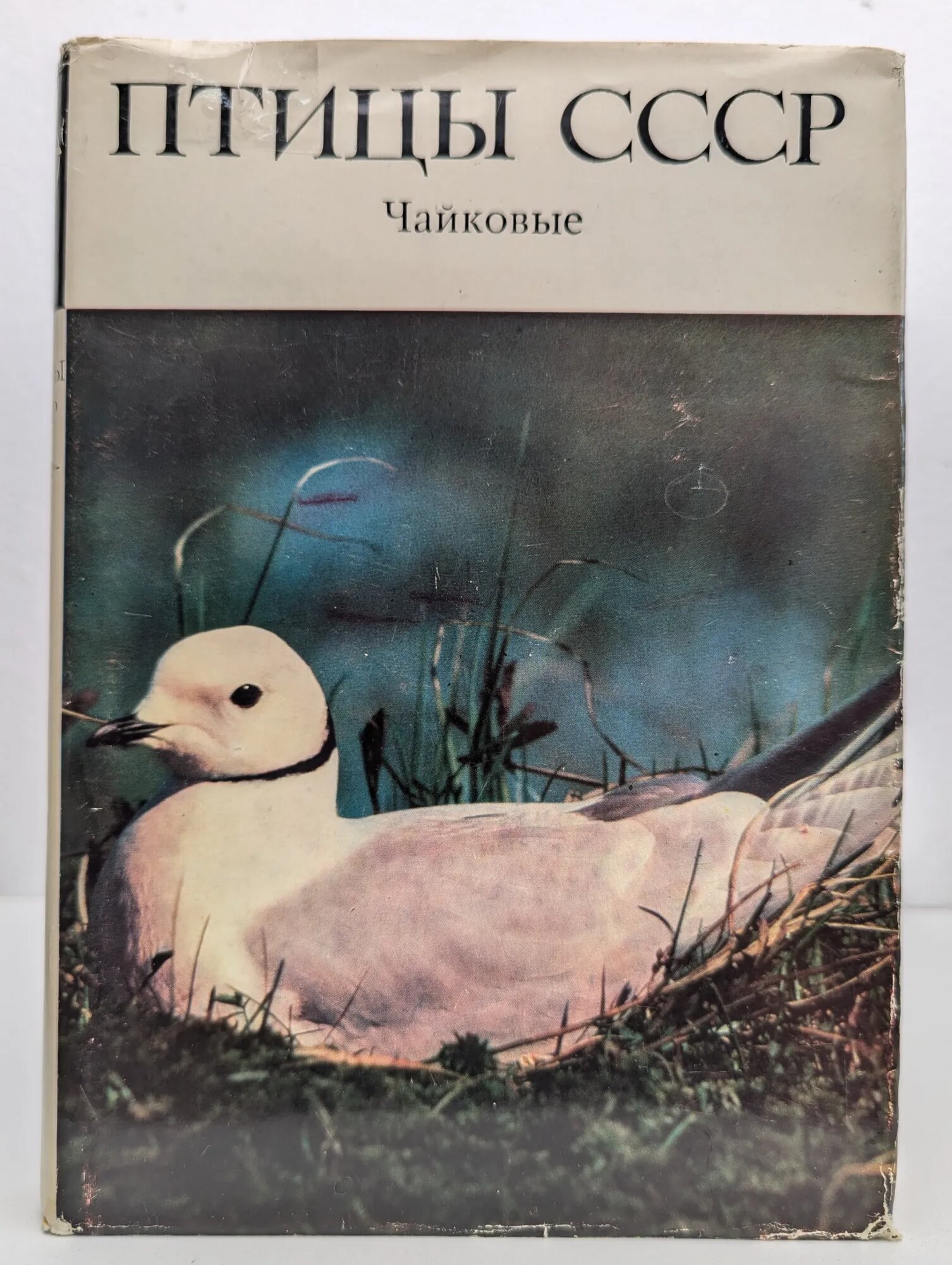 Птицы СССР. Чайковые Виксне Янис Арвидович, Зубакин Василий Александрович, Авданин Вадим Олегович 1988
