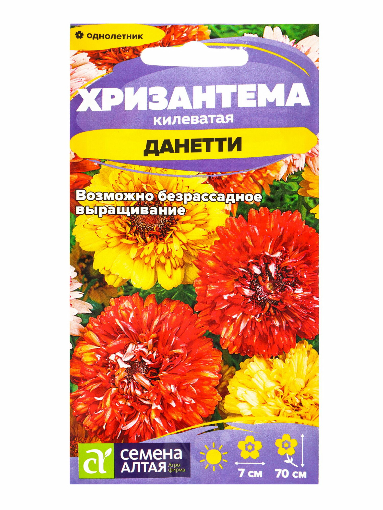 Семена Хризантема "Данетти", 0.1 г, посев (посадка) в грунт: апрель