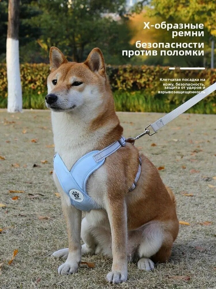 Шлейка для кошек с поводком, шлейка для собак мелких породшлейка для собак мелких пород