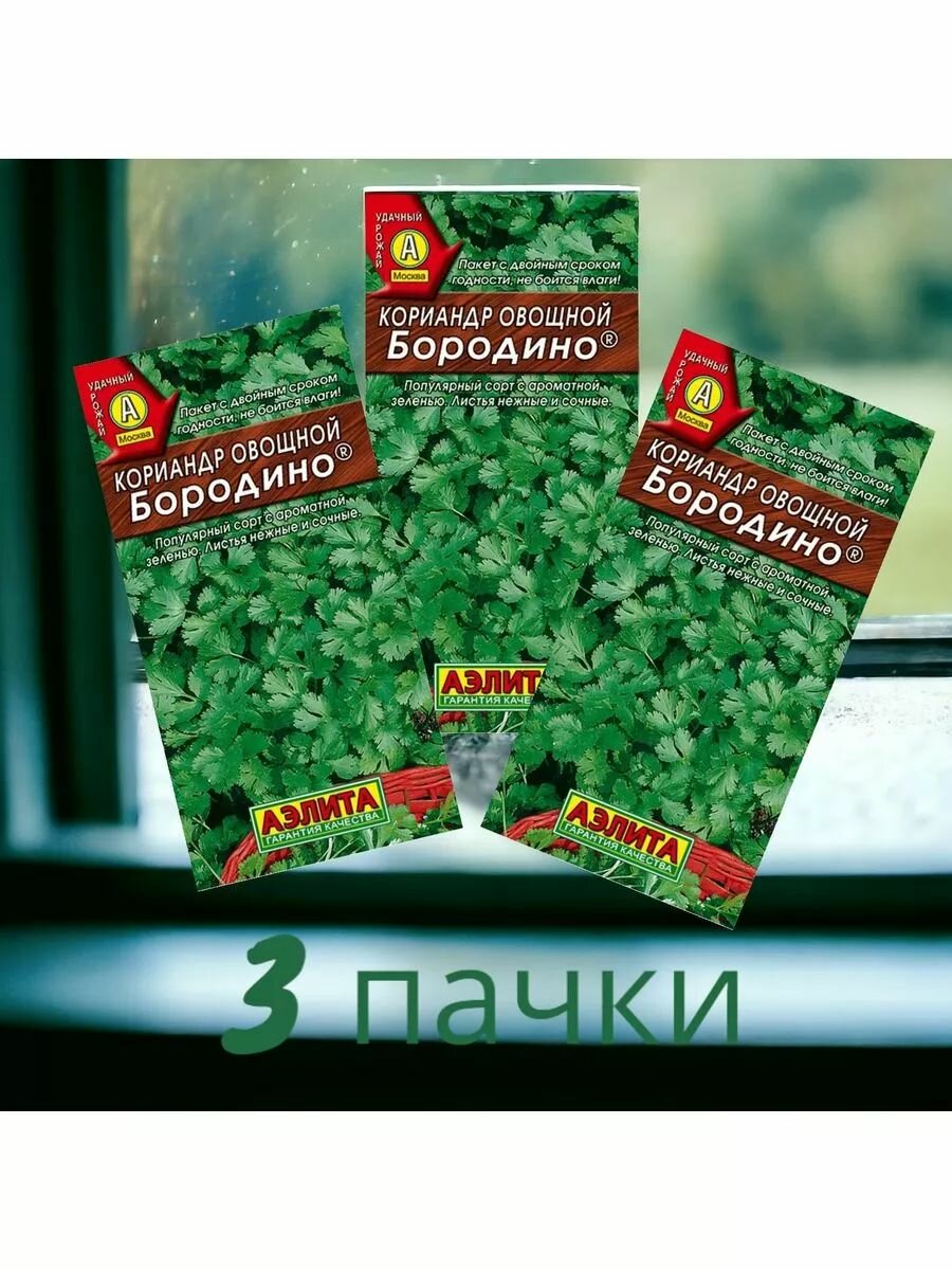 Кориандр Бородино цв. п 3г (комплект из 3 пачек) Аэлита