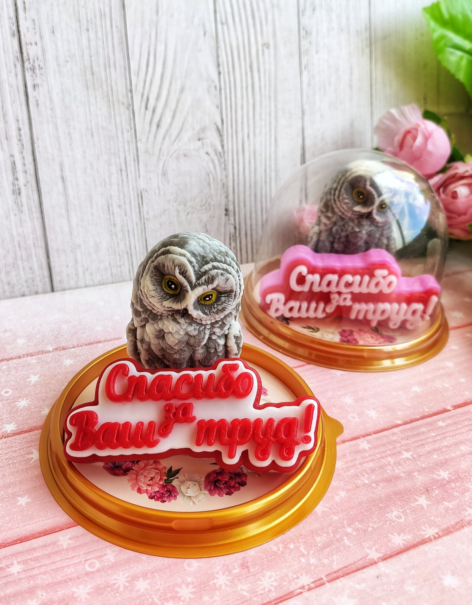 Мудрая совушка / Сувенирное мыло Sweet Soap / подарок учителю
