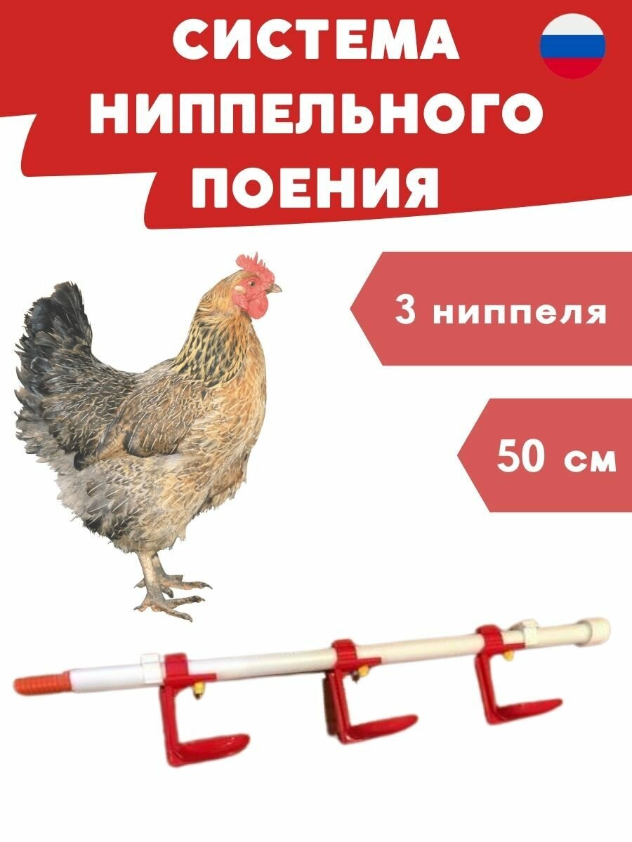 Система нипельного поения 50см 3 нип