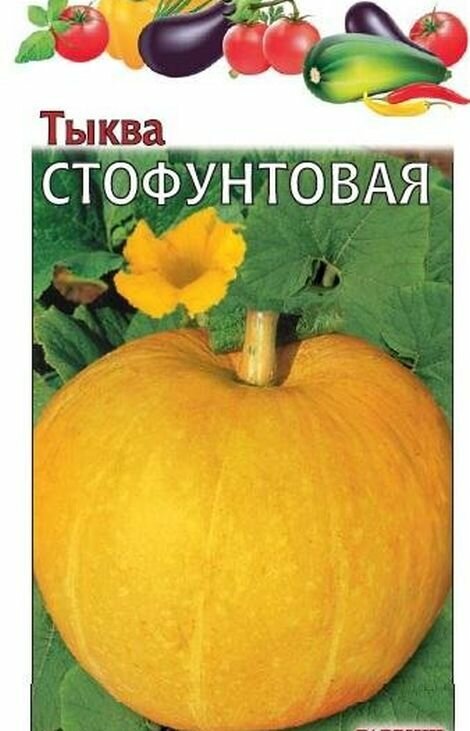 Семена Тыква Стофунтовая
