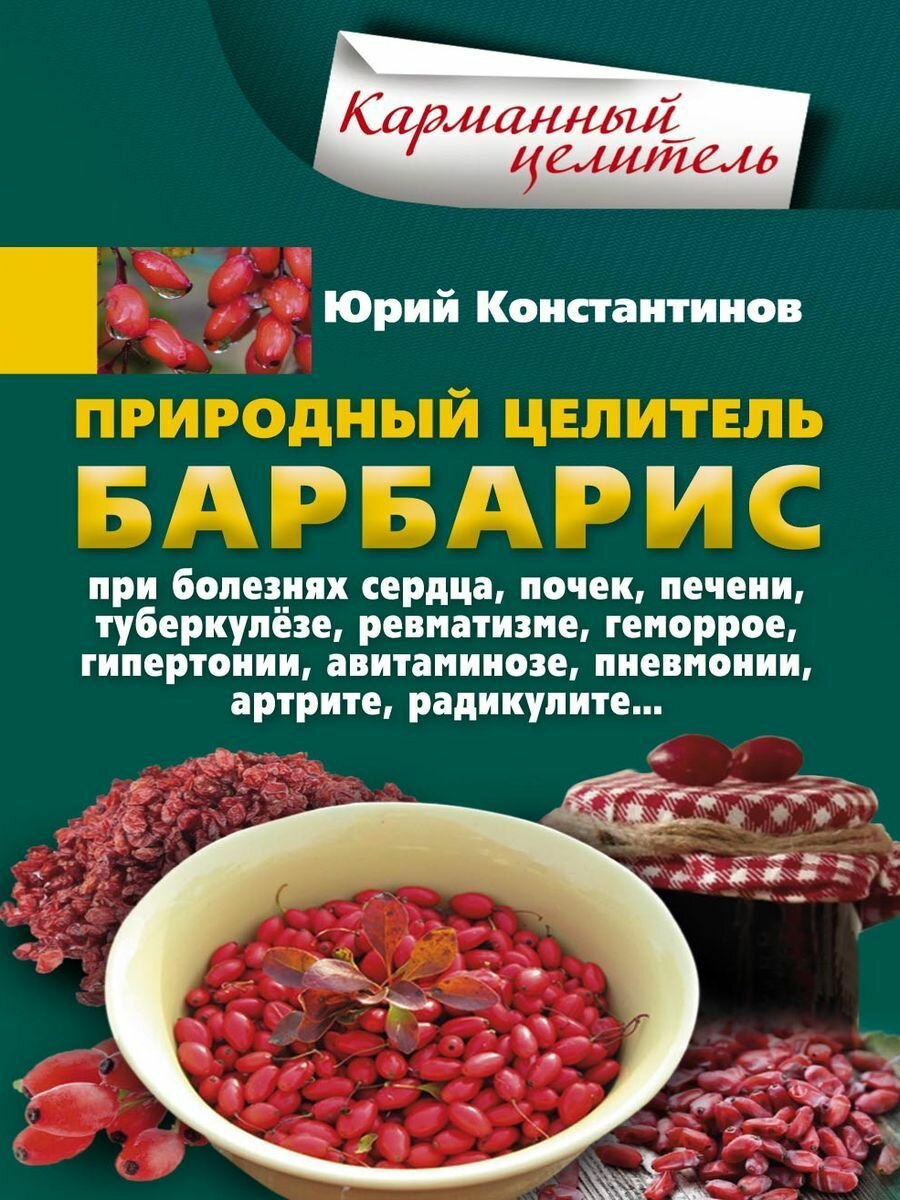 Природный целитель барбарис. При болезнях сердца, почек, печени, туберкулёзе, ревматизме, геморрое, гипертонии, авитаминозе, пневмонии, артрите, радикулите.