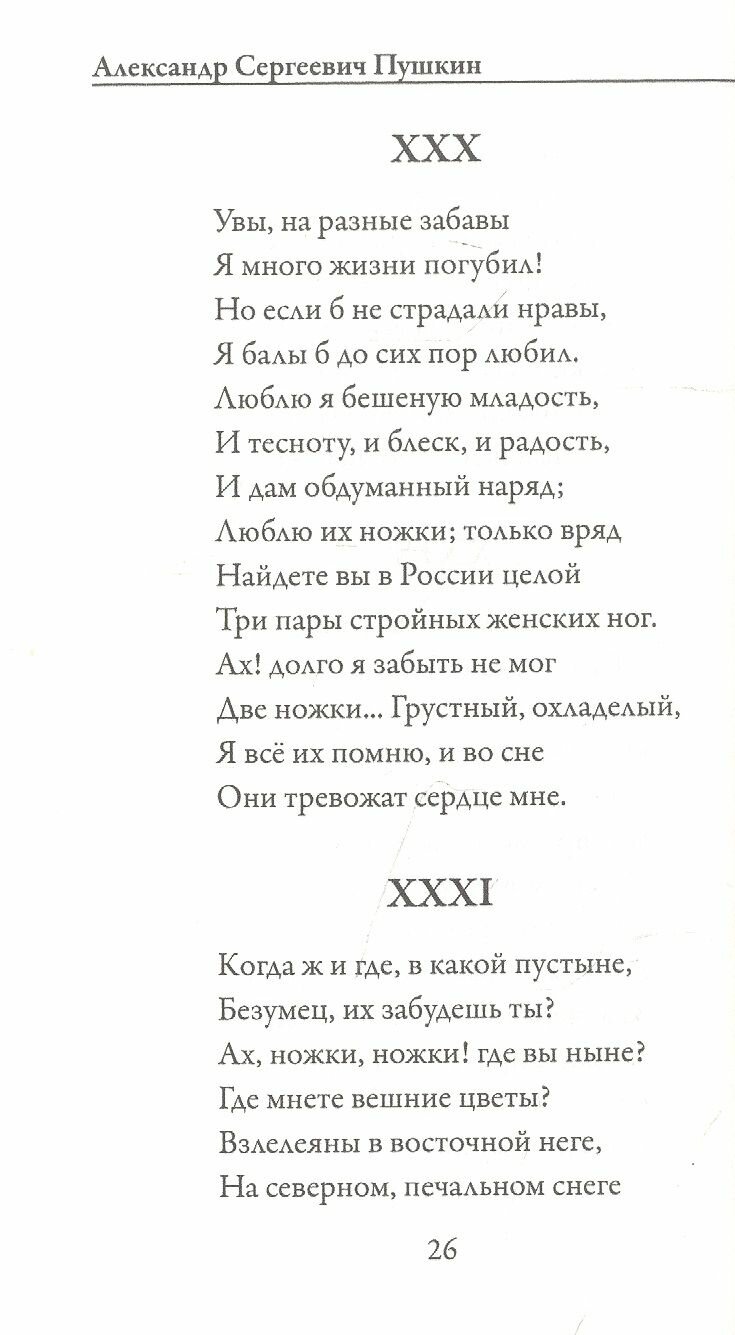 Евгений Онегин — фото 1