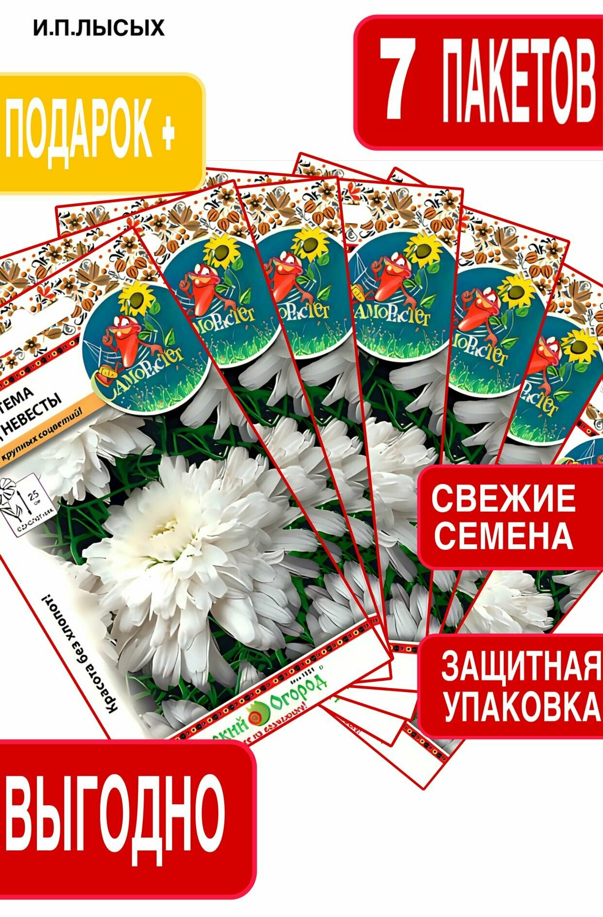 Семена цветов Хризантема наряд невесты