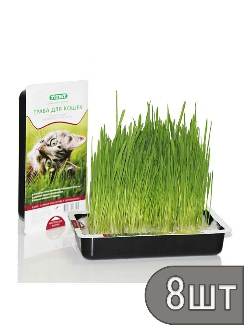 TiTBiT Набор 8 шт Травка для кошек (овес для проращивания) 40г 0.32 кг