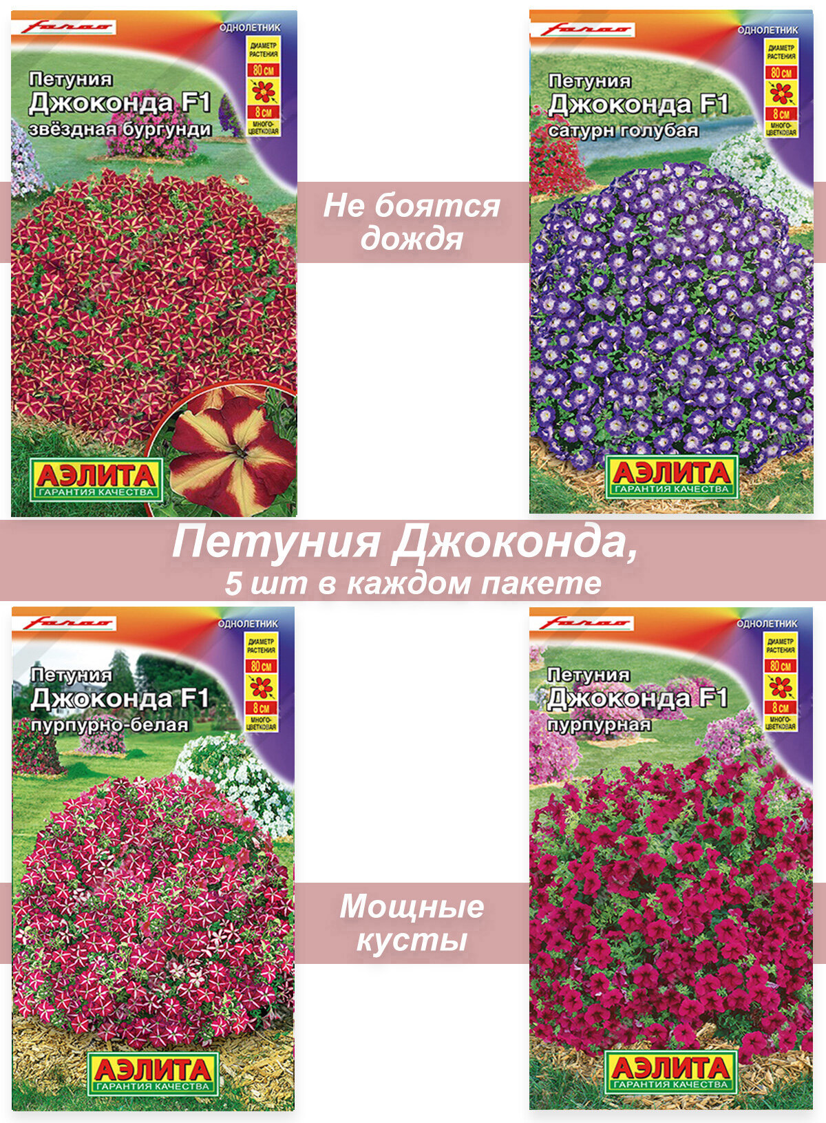 Семена цветов ампельная многоцветковая гибридная Петуния Джоконда