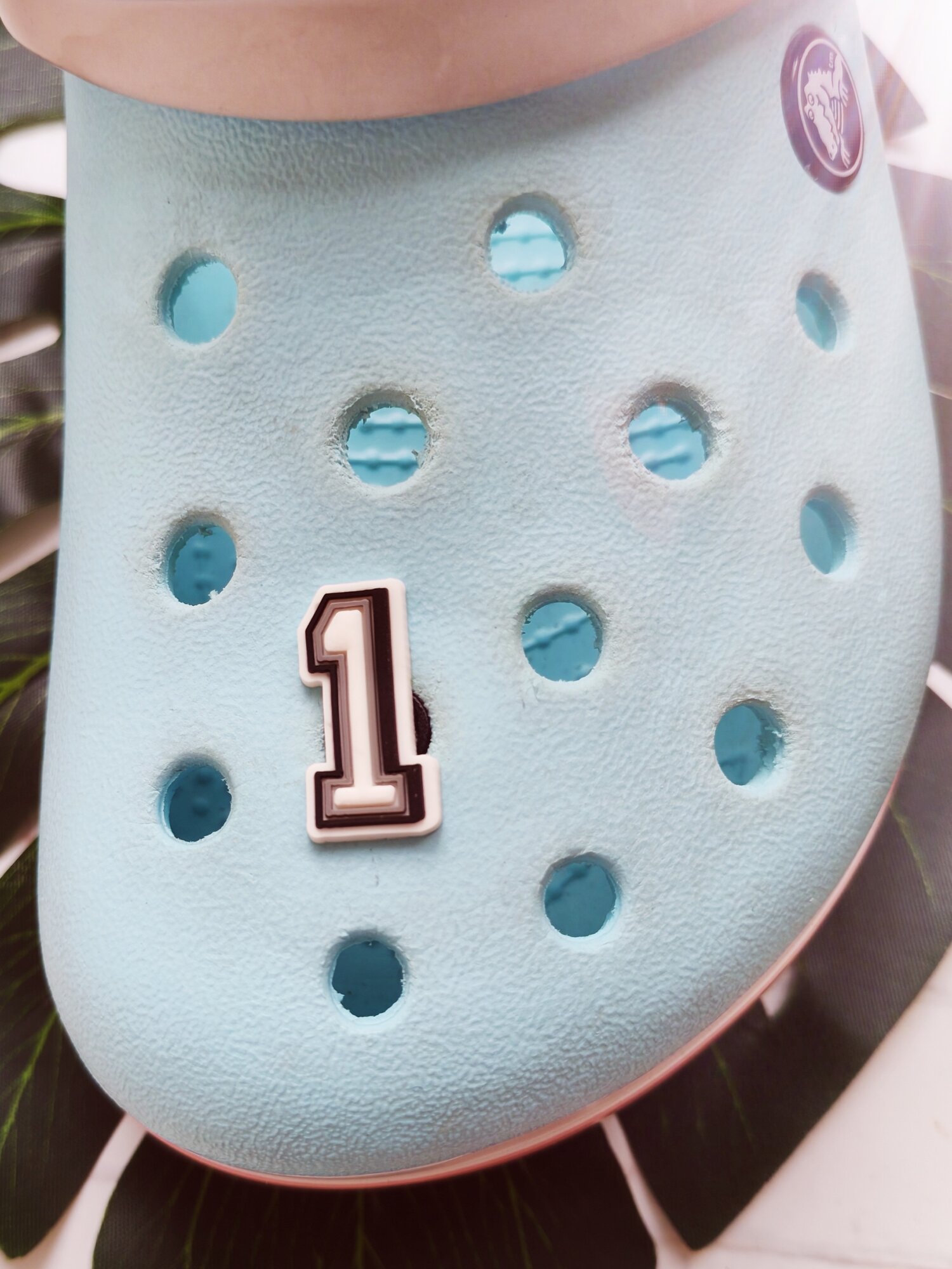 Джибитсы на crocs цифра 1