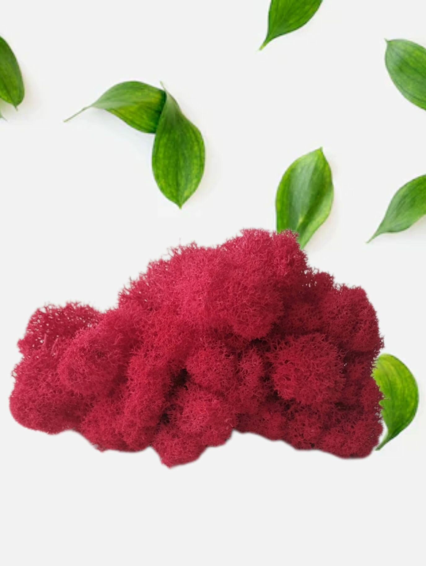 Мох стабилизированный Малиновый, декор для дома, панно, 100 гр