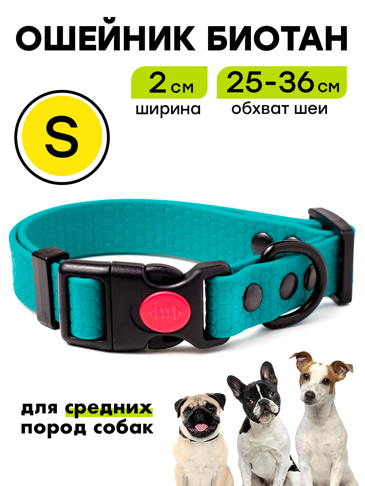 Ошейник из биотана 25-36 см (S), 20 мм, Woofy "Iron" водостойкий, для небольших и средних собак, бирюзовый