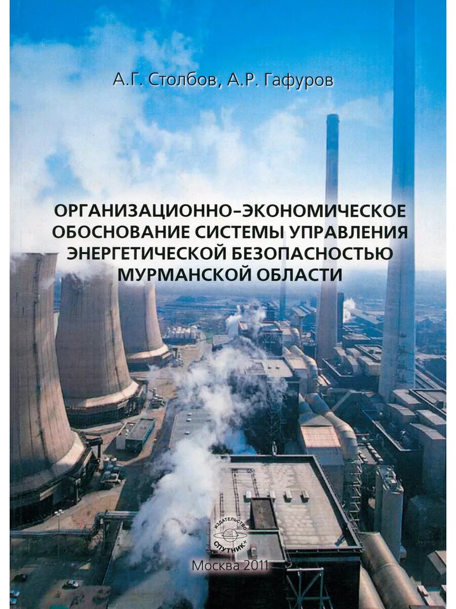 Организационно-экономическое обоснование системы управления